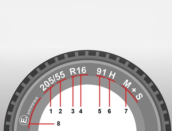 Come leggere un pneumatico | First Stop